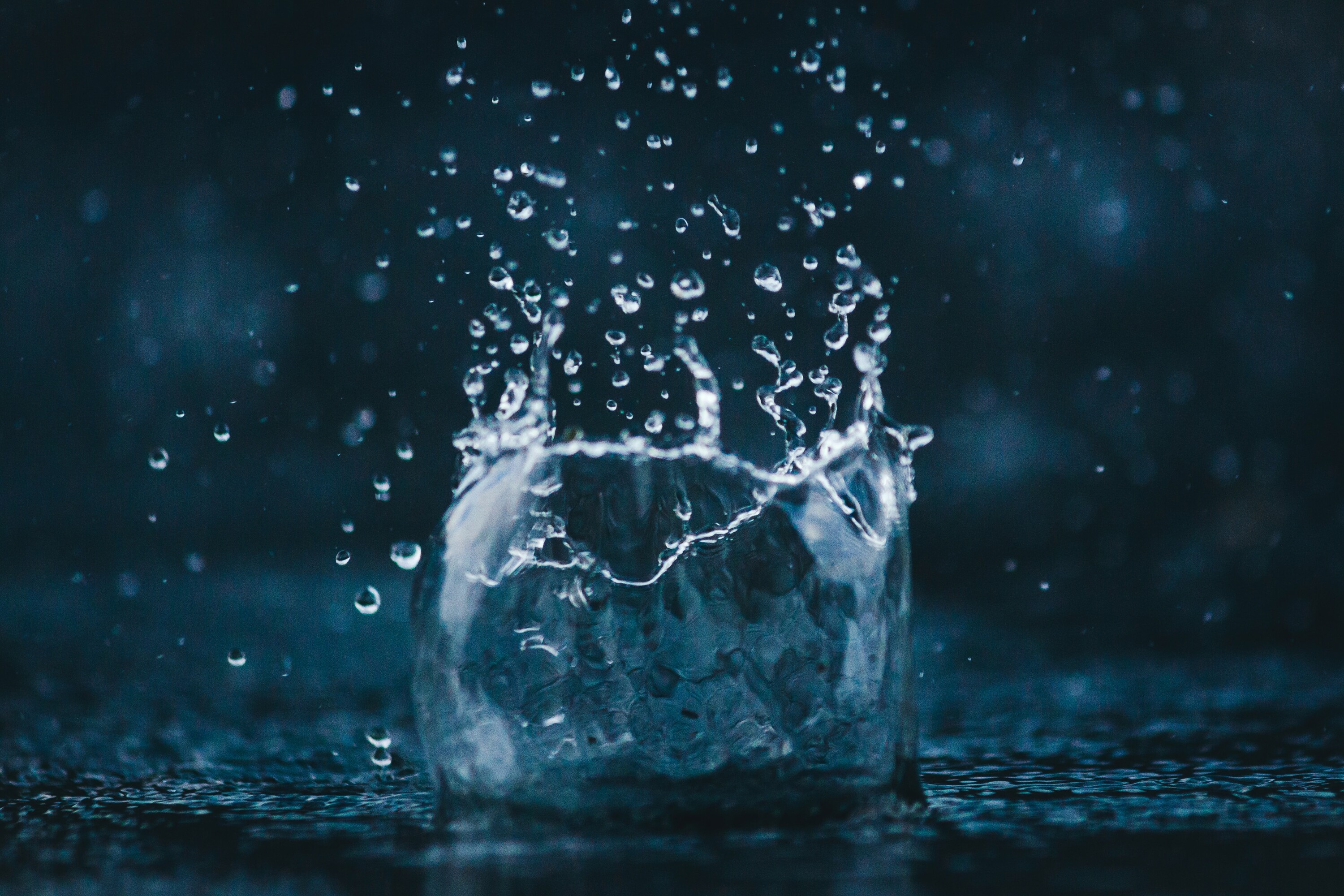 Water - Venture Support Program - Foresight